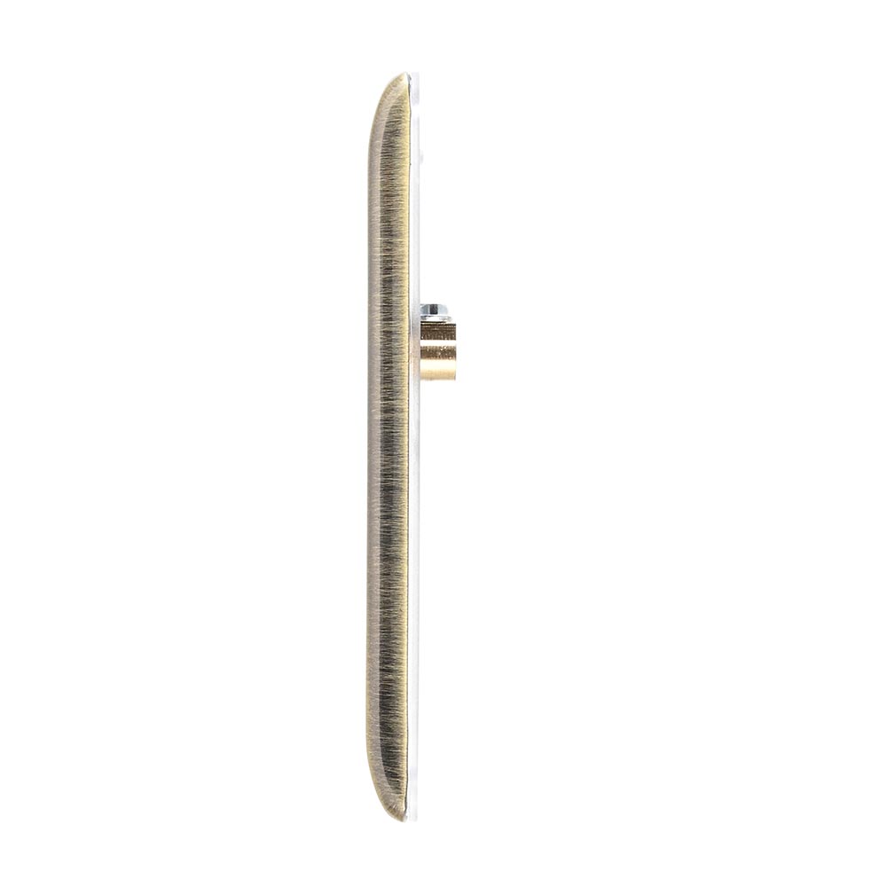 Raised Screwed 2G Blanking Plate - Antique Brass